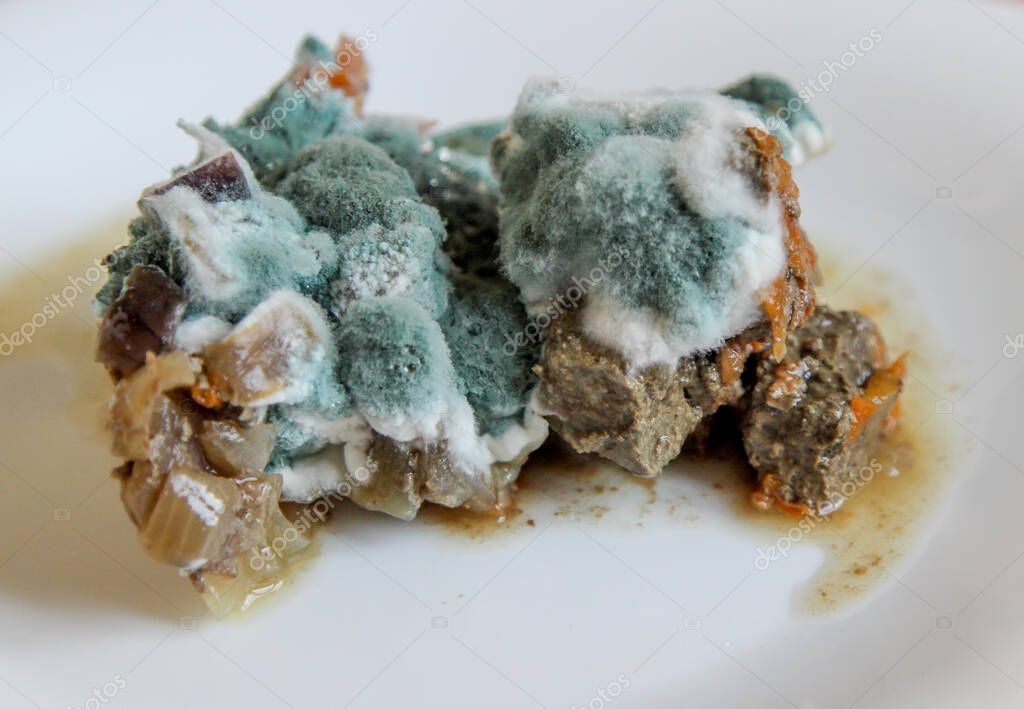 Primer plano de la comida podrida. Molde que crece en verduras guisadas ...