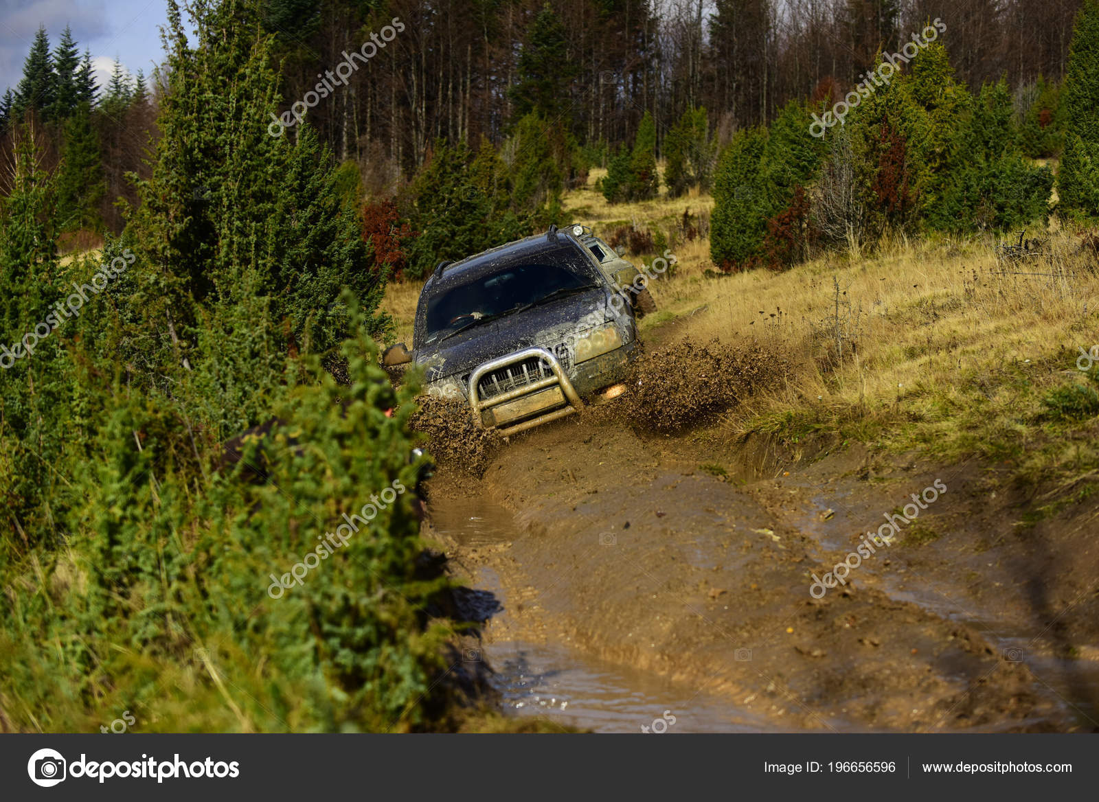 Car Racing Autumn Forest Road Vehicle Suv Overcomes Obstacles Auto ...