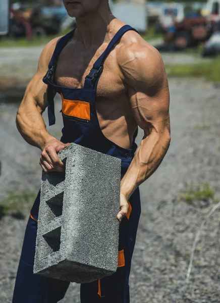 Power concept. Brick in fit arms with biceps and triceps muscle, power ...