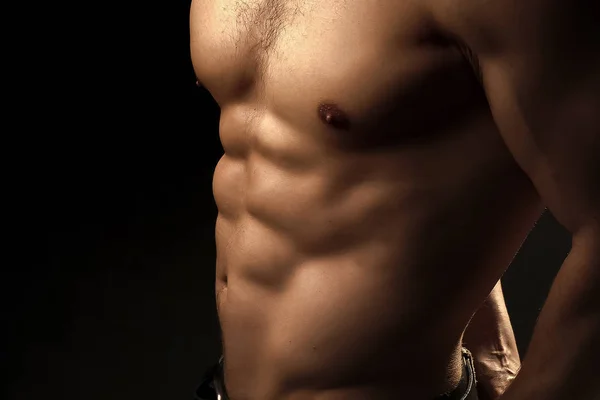 Muscular male torso - Stock Image - Everypixel