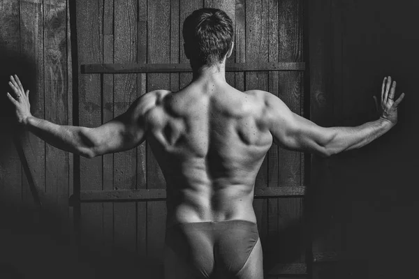 Male model back Stock Photos, Royalty Free Male model back Images | Depositphotos