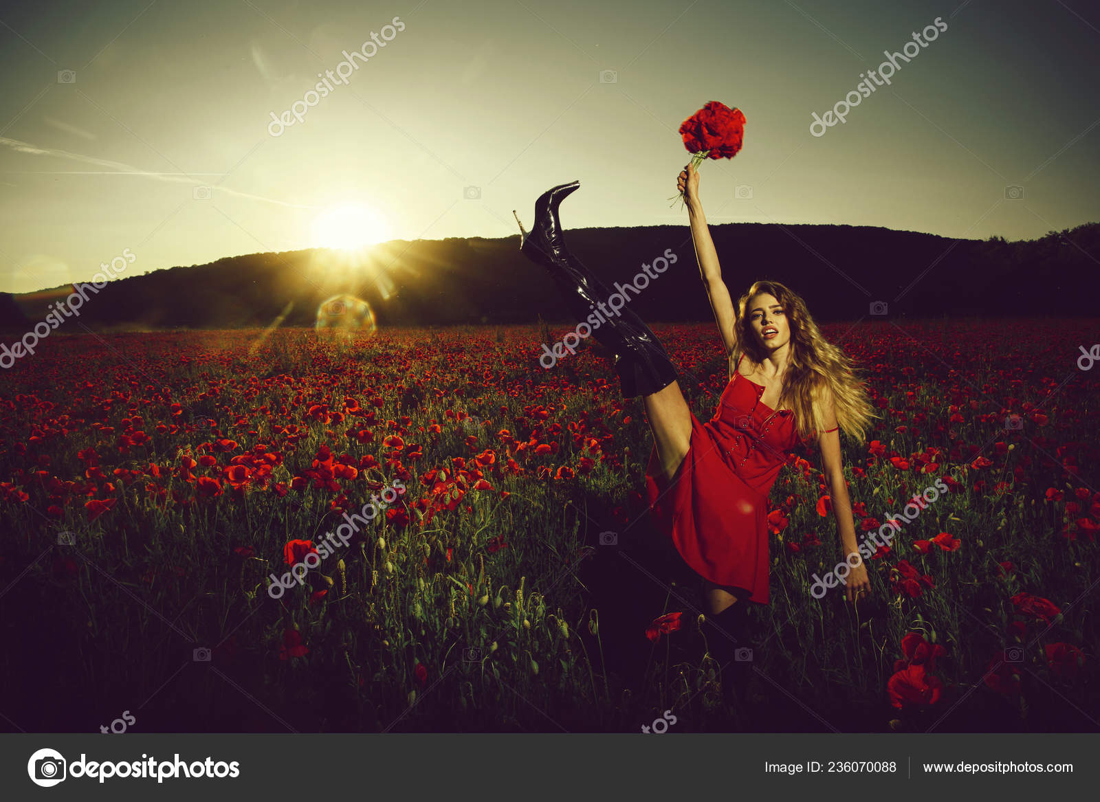 Drug and love intoxication, woman in field of poppy seed — Stock Photo ...