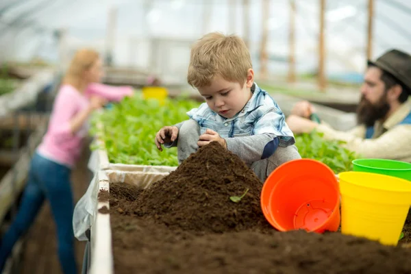 Little boy. little boy work in greenhouse. little boy gardener play ...