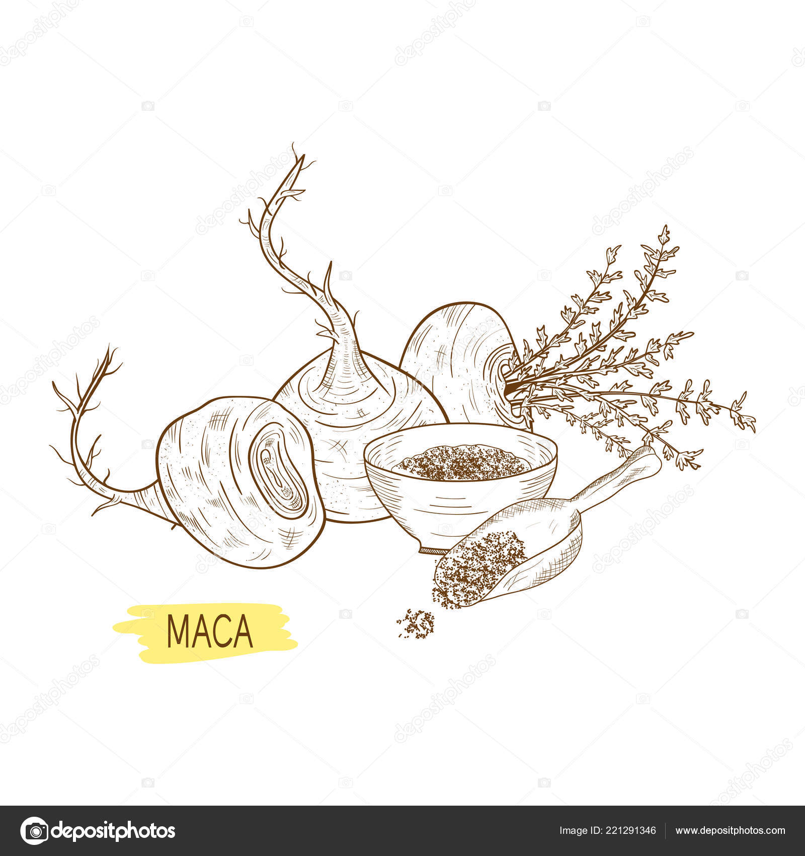 Maca. ¿Qué? Polvo. Boceto. Monocromo Vector de stock por ©KosOlga 221291346
