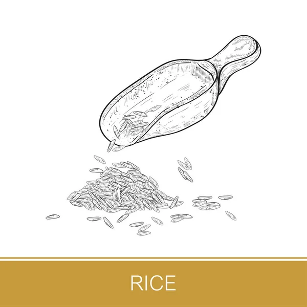 100,000 Rice sketch Vector Images | Depositphotos