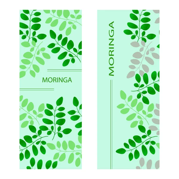 137 Moringa drawing Vectors, Royalty-free Vector Moringa drawing Images ...