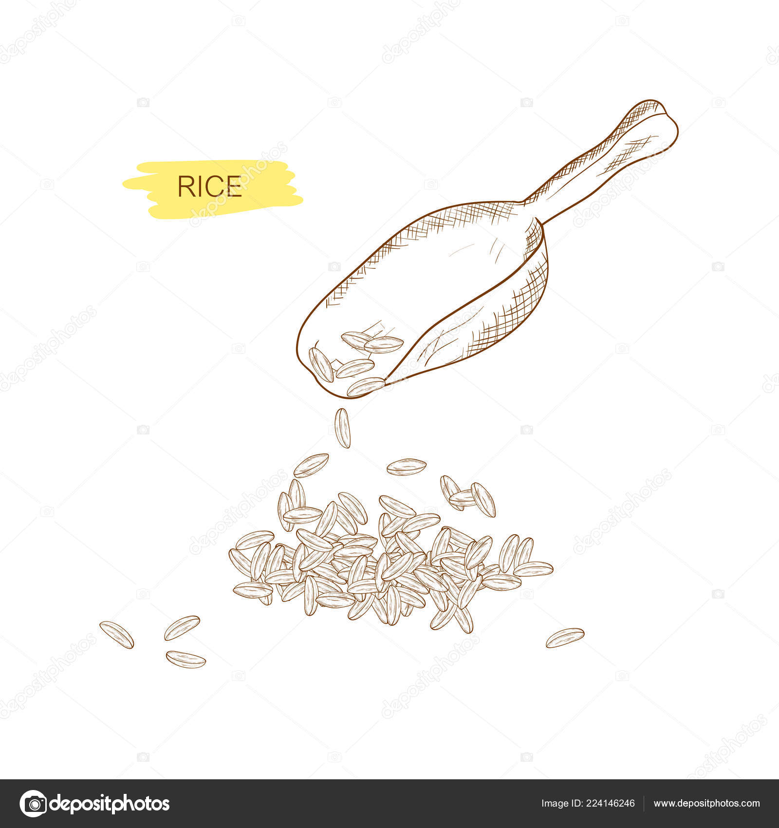 Rice. Scoop, scapula. On a white background. Monochrome. Sketch — Stock ...