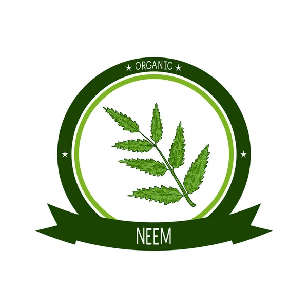 Marijuana leaf. Medical cannabis. Hemp oil. Cannabis extract. Icon ...