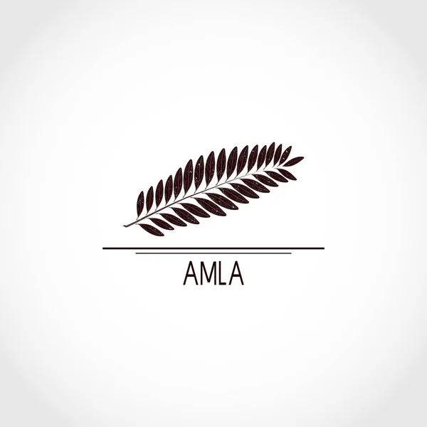 21 Amla drawing Vector Images | Depositphotos