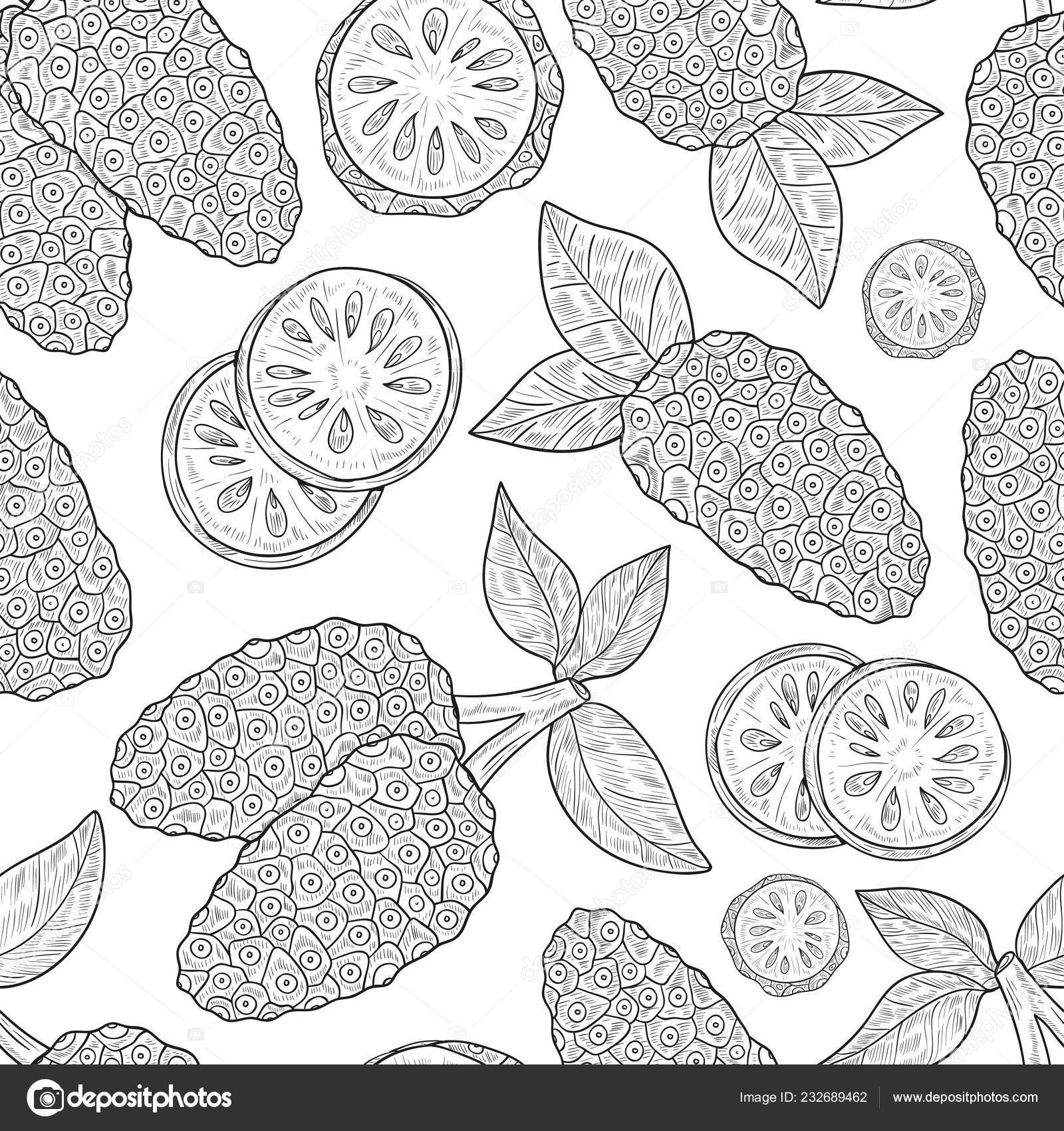 Noni. Fruit, leaves. Sketch. Texture, wallpaper, seamless, background ...