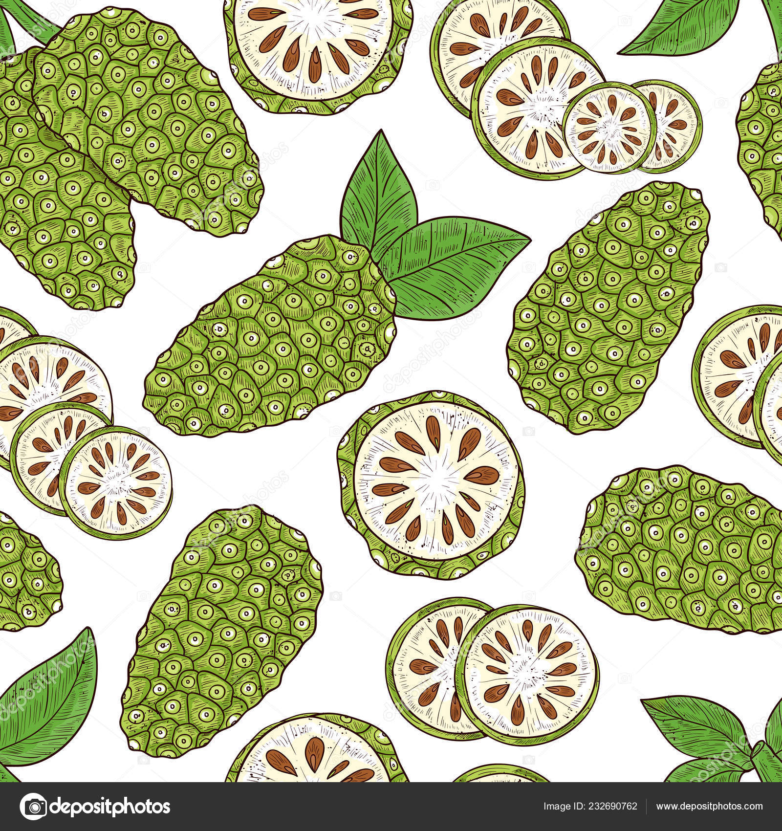 Noni. Fruit, leaves. Sketch. Texture, wallpaper, seamless, background ...