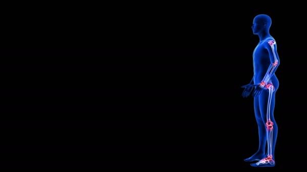 Joint Pain animation from side view. Blue Human Anatomy Body 3D Scan ...