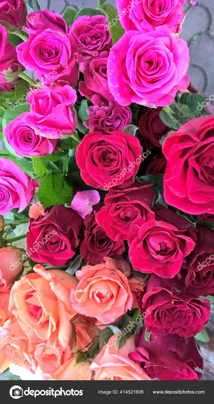 Closeup View Bunch Rose Flowers — Stock Photo © anshumaligg@gmail.com ...