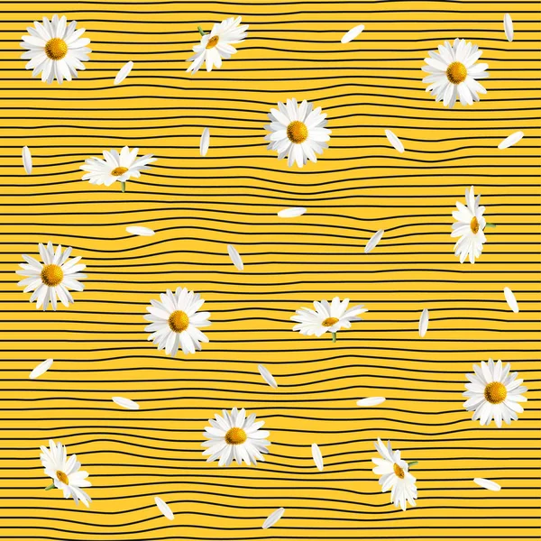 100,000 Daisy field Vector Images | Depositphotos