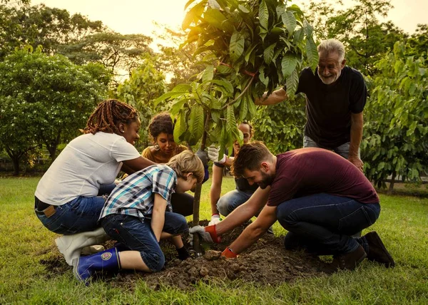 People planting trees Images - Search Images on Everypixel