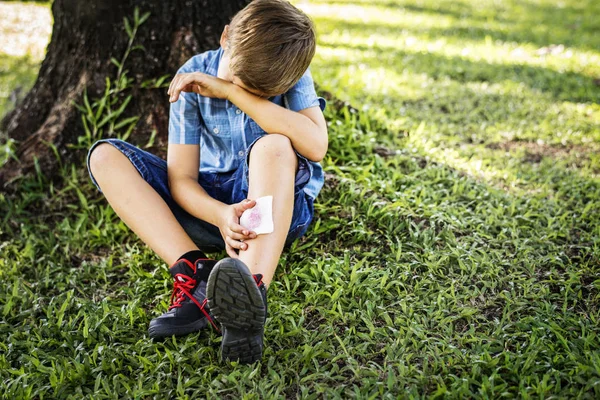 Raspada fotos de stock, imágenes de Raspada sin royalties | Depositphotos