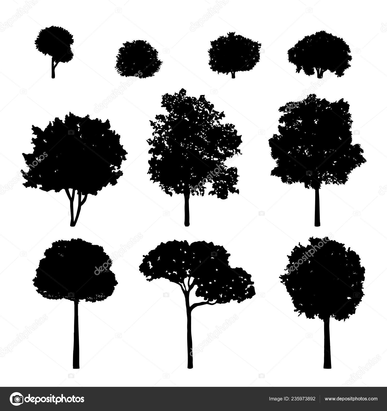 Design Illustration Various Trees Stock Vector by ©Rawpixel 235973892