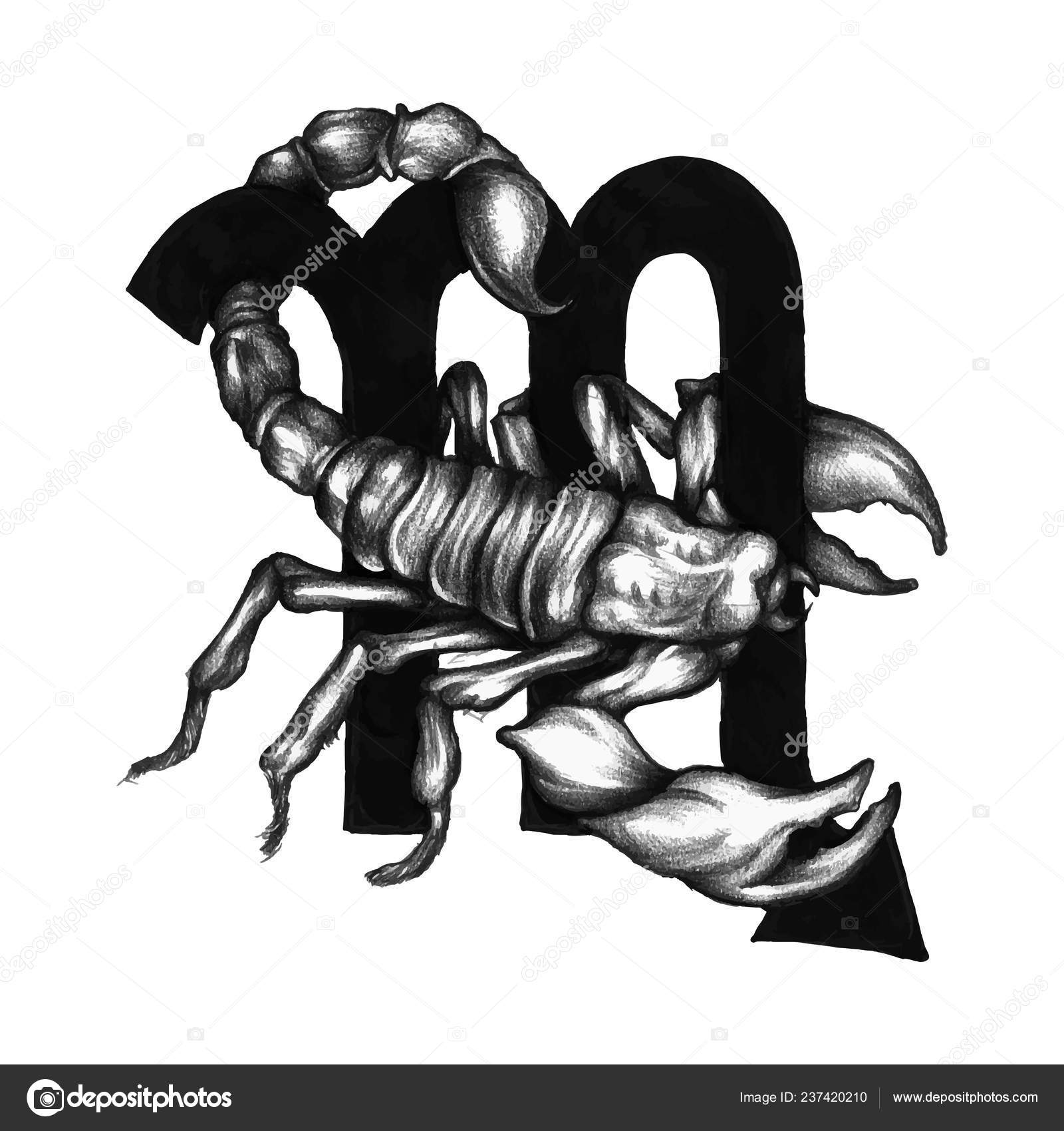 Hand Drawn Horoscope Symbol Scorpio Illustration — Stock Vector ...