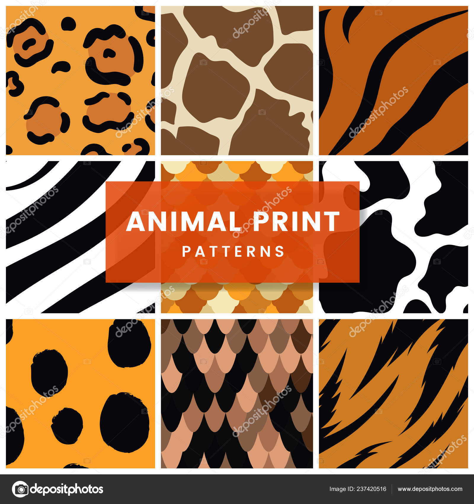 Colorful Animal Print Patterns