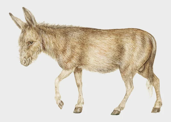 Donkey holding sign — Stock Photo © sarah5 #4170067