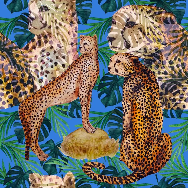 Wild animal collage Stock Photos, Royalty Free Wild animal collage ...