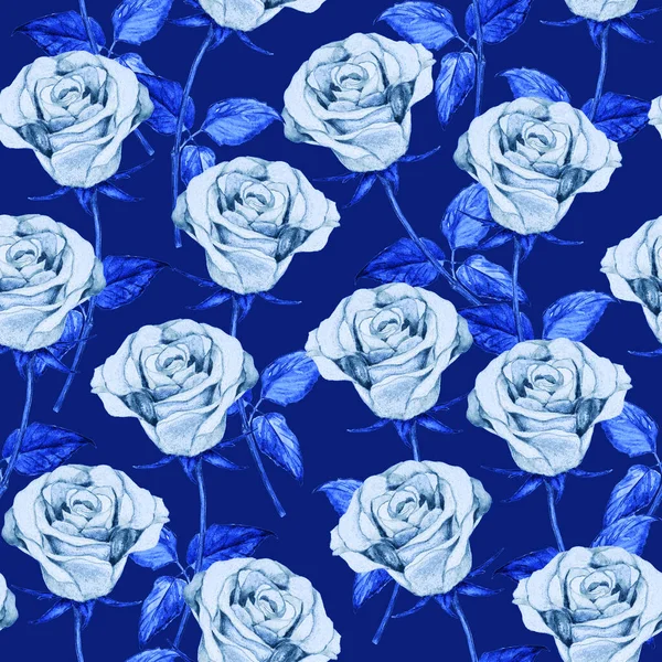 Blue roses background Stock Photos, Royalty Free Blue roses background ...
