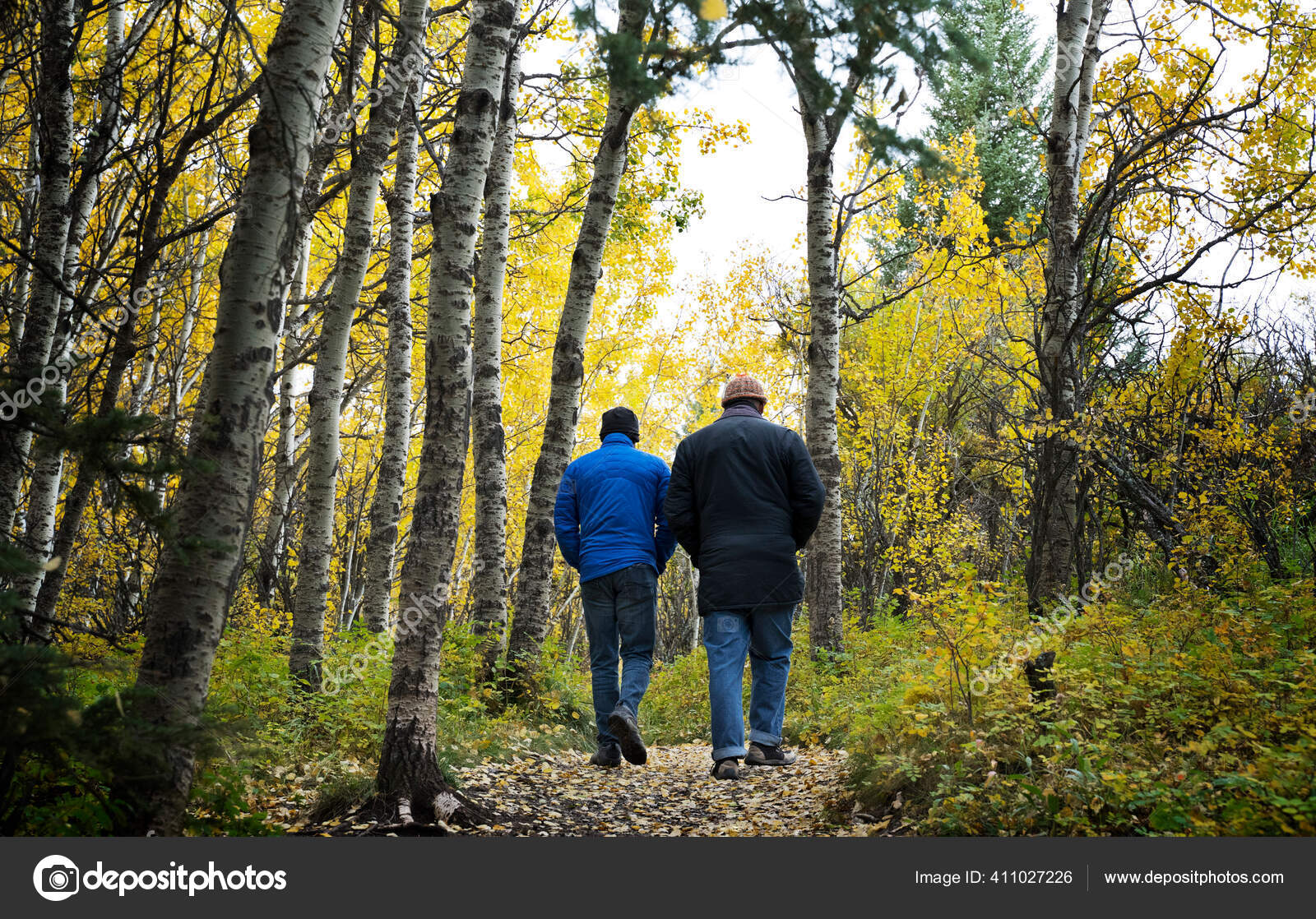 Two People Walking Path Autumn Colours Forest Big Hill Springs — Stock Editorial Photo © Rcliff ...