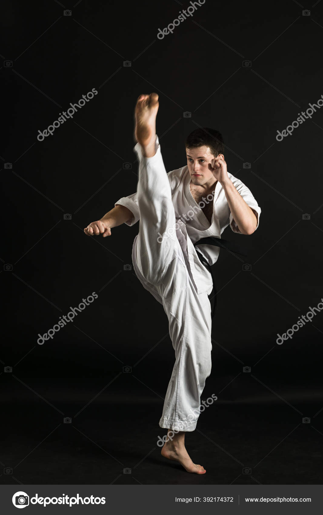 Karateka Strikes Stands Stance Martial Arts Shidokan Karate Fighter ...