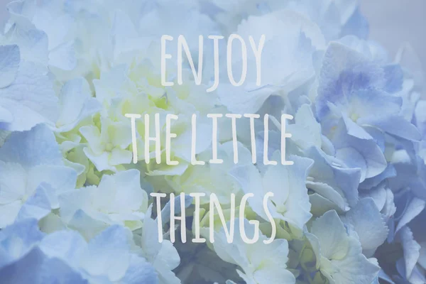 Inspirational quote on Sweet blue Hydrangeas in soft color style Stock ...