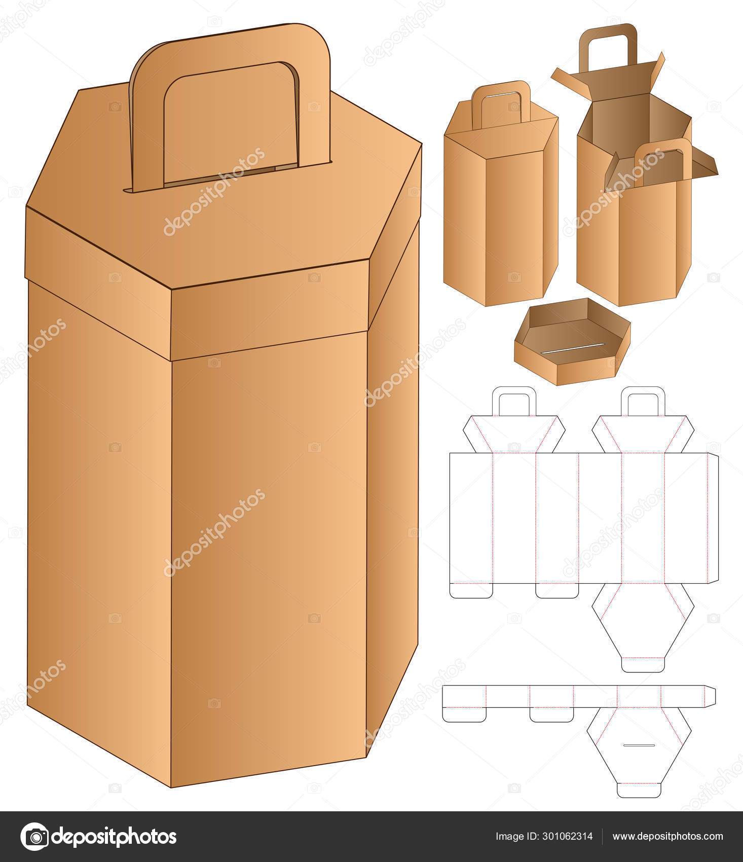 Hexagon Box Template Vector