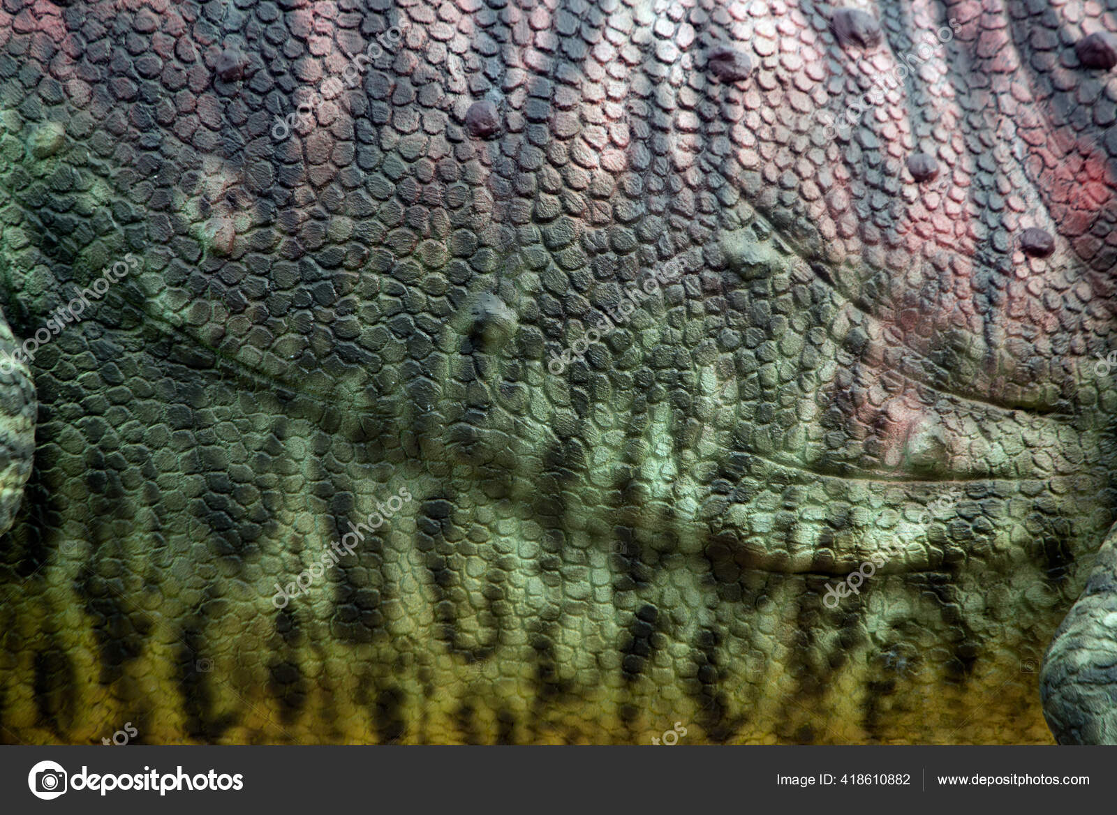 Dinosaur Skin Pattern
