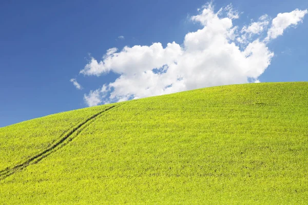 A windows xp Stock Photos, Royalty Free A windows xp Images | Depositphotos