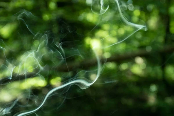 Nature and smoke Stock Photos, Royalty Free Nature and smoke Images ...