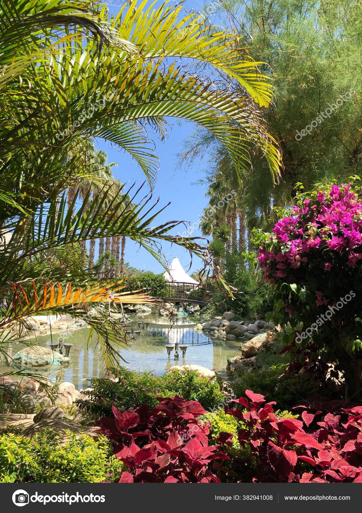 Turkey Turkish Culture Sights Nature Turkey Sea Sun Palms Beach — Stock ...