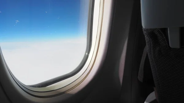 Plane tea Stock Photos, Royalty Free Plane tea Images | Depositphotos