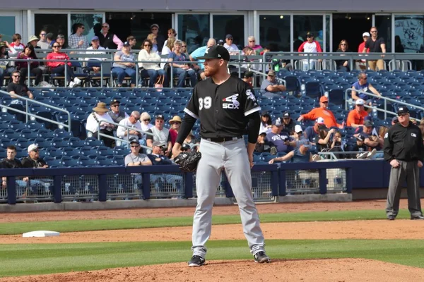 White sox Stock Photos, Royalty Free White sox Images | Depositphotos