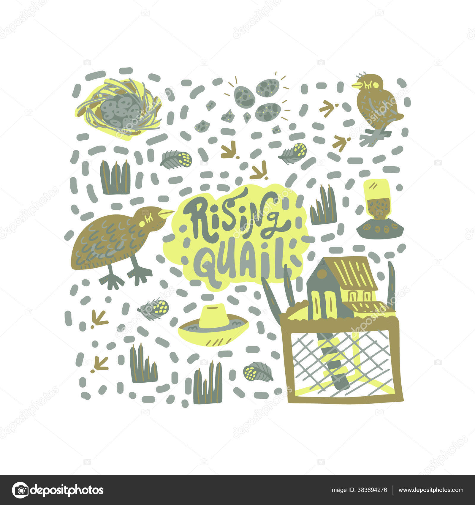 Quail Farming Modern Concept Flat Design Merch Banners Package Hand ...