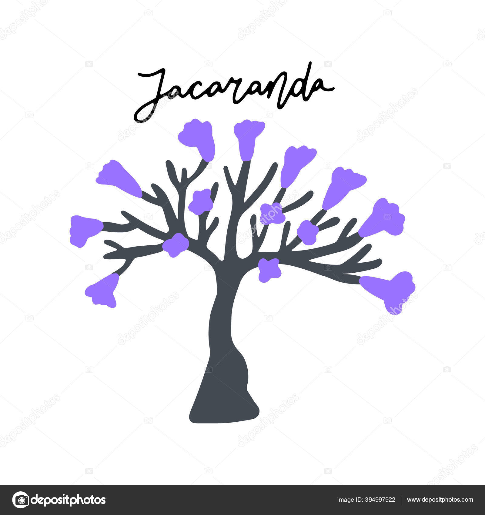 América Del Sur Landmark Jacaranda Árbol Vector Ilustración Clipart ...