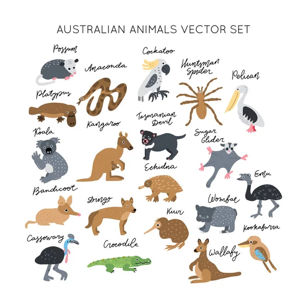 Kangaroo clipart Vector Art Stock Images | Depositphotos