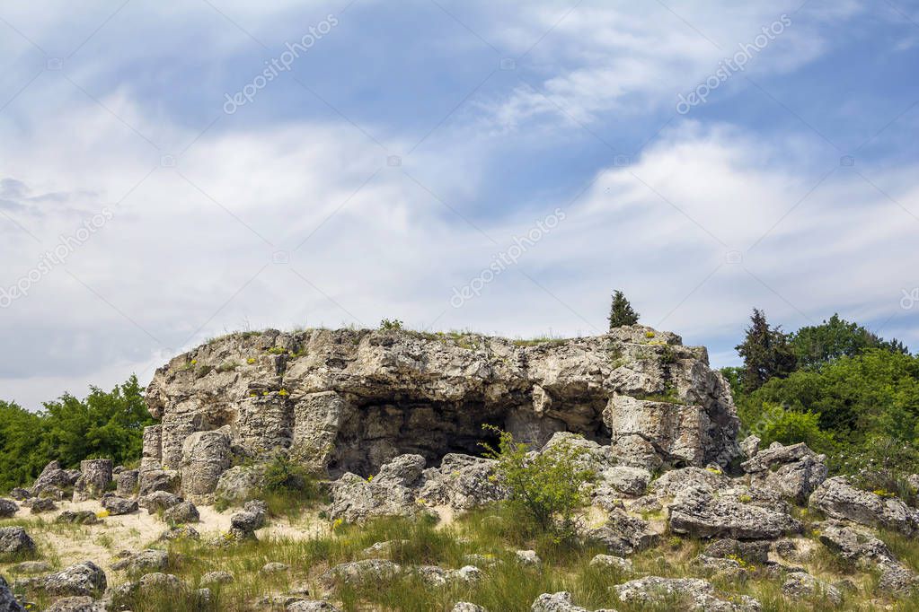 El fenómeno natural Pobiti Kamani, conocido como El Bosque de Piedra y ...