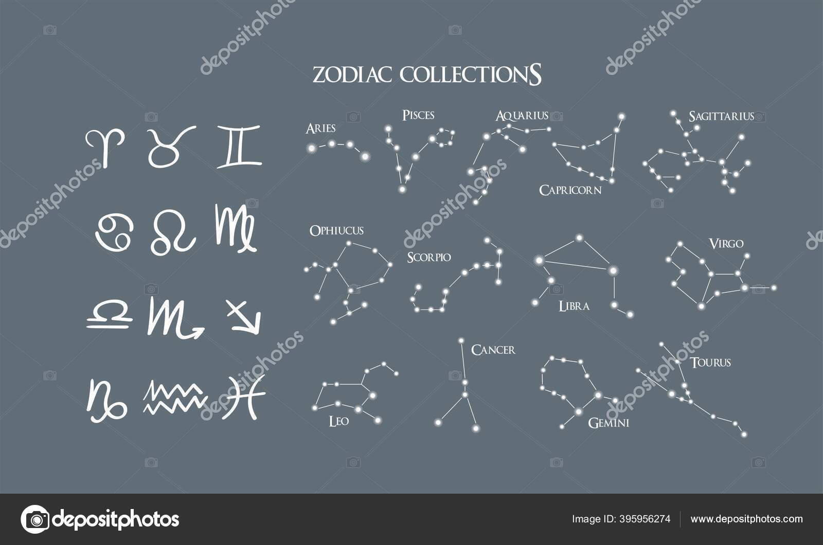 A collection of 12 zodiac signs with names. Vector constellations set ...