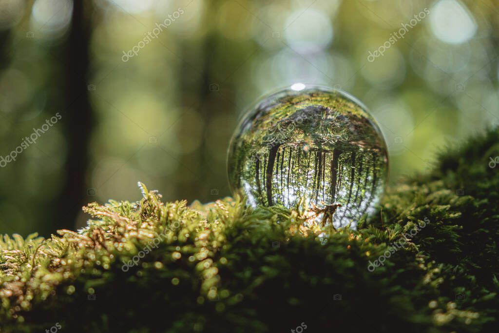 Concepto de medio ambiente, una bola de cristal se encuentra en un ...