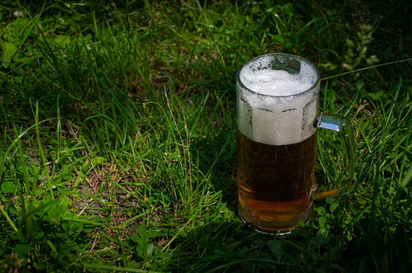 Cerveja ao sol Stock Photos, Royalty Free Cerveja ao sol Images ...