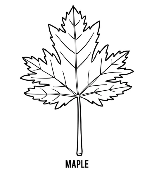 Aspen Leaf Coloring Page Sketch Coloring Page