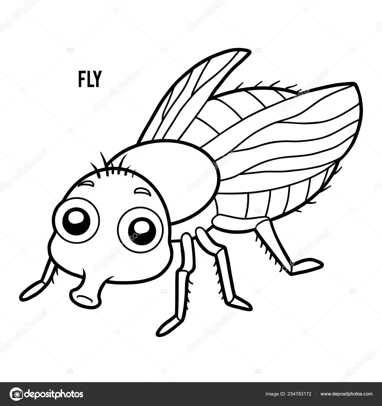 Flies Coloring Pages