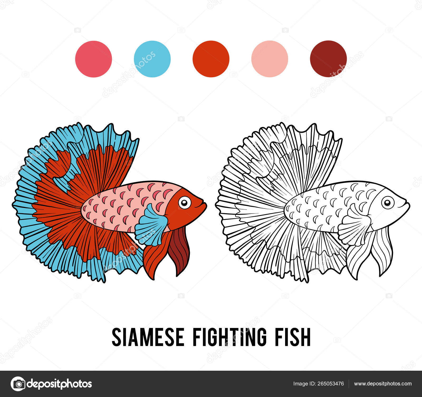 Coloring book, Siamese fighting fish Stock Vector Image by ©ksenya ...