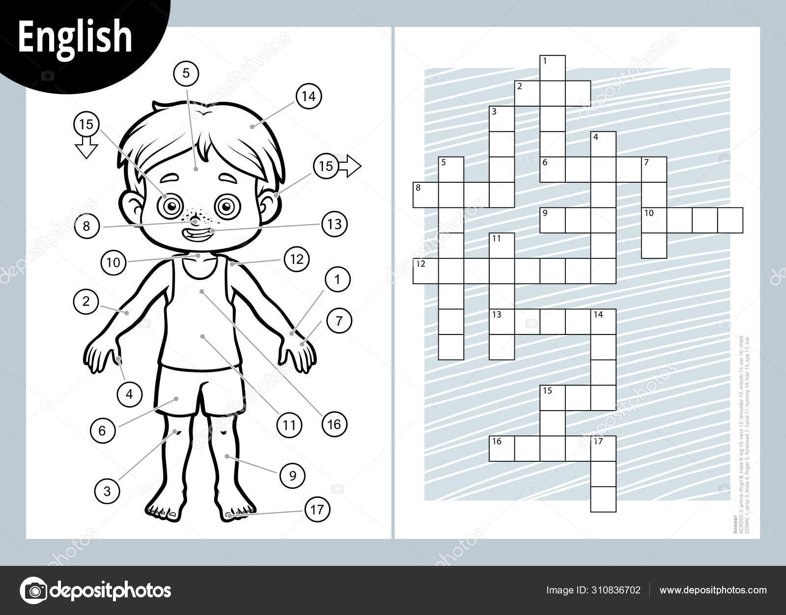 Crucigrama vectorial en inglés, juego de educación para niños sobre el ...