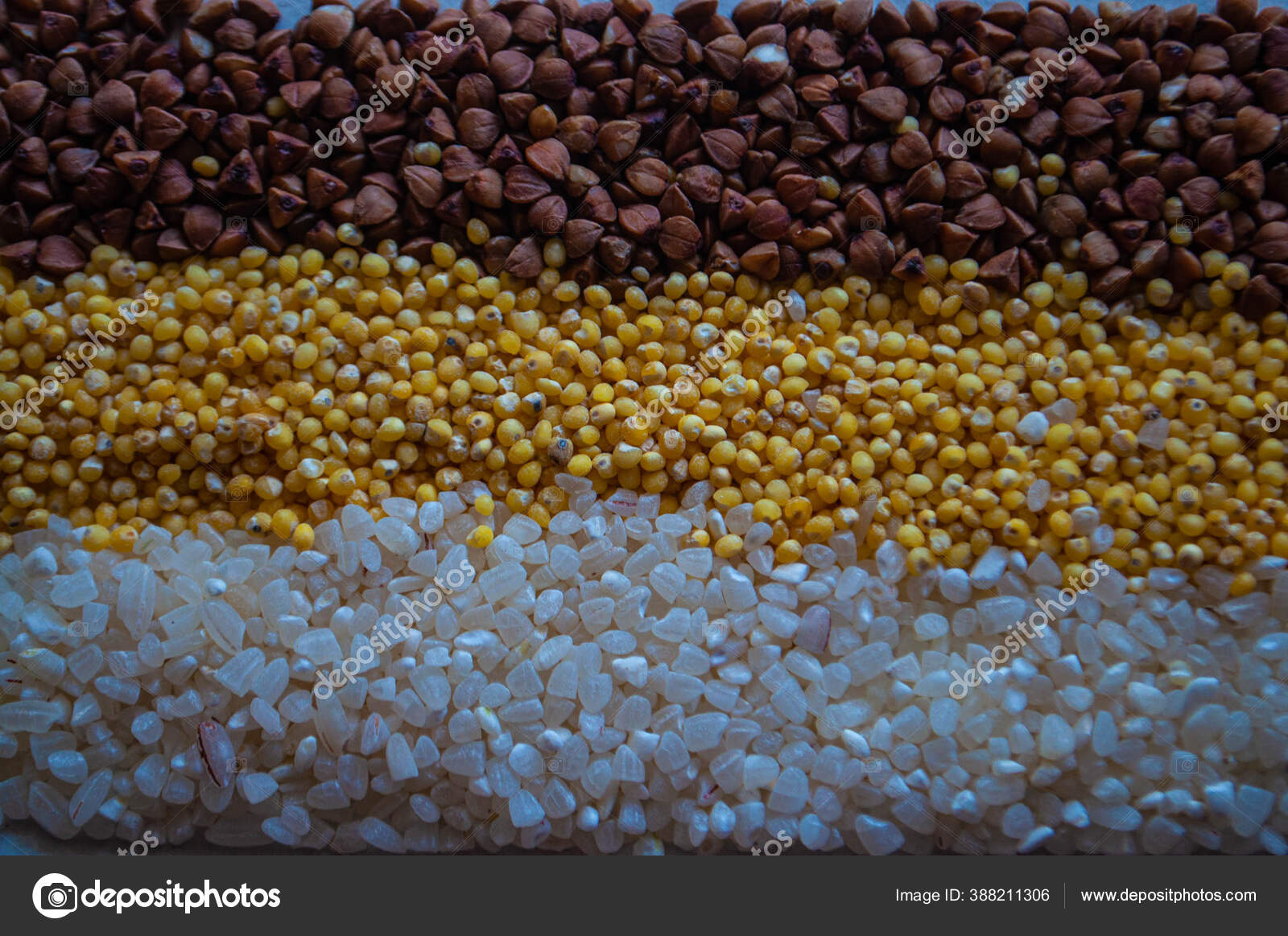 Background Different Grades Grain — Stock Photo © dasha86 #388211306