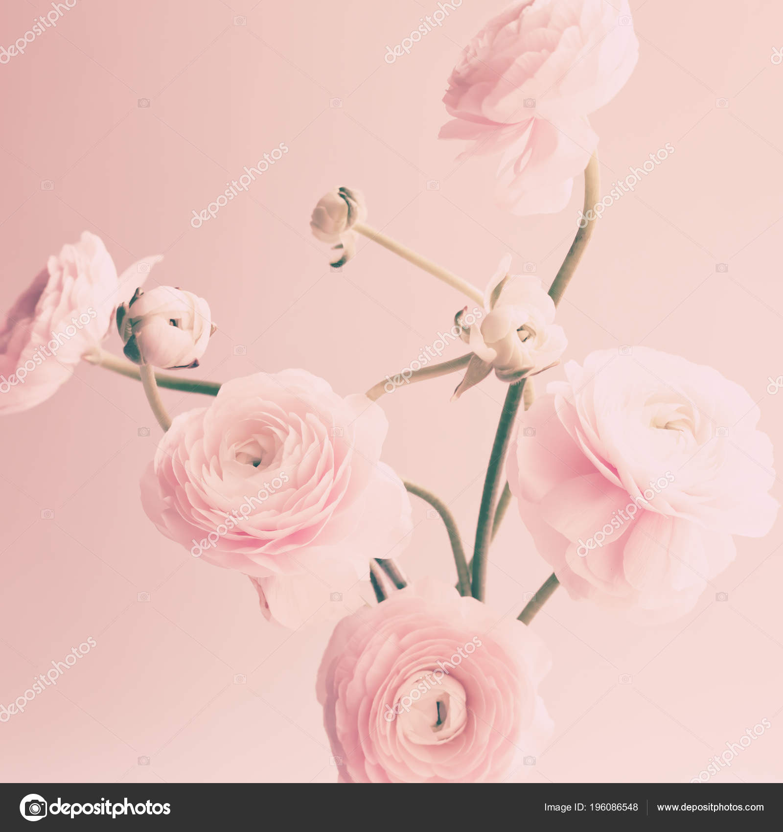 Tumblr Pálido Fotografías