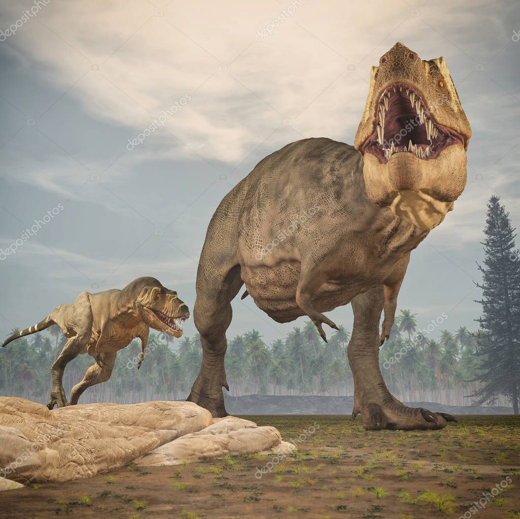 Two Dinosaurs Tyrannosaurus Rex Render Illustration — Stock Photo ...
